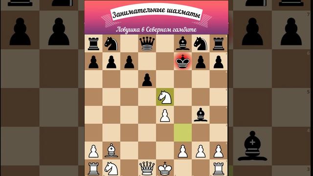 Ловушка в Северном гамбите