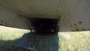 Львица Герда положила глаз на льва Олежку и стережет его около самолета !