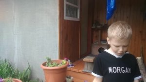 VID_20230608_152922_1.mp4