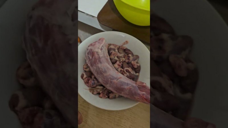 Чем кормить котов Мейн Кун