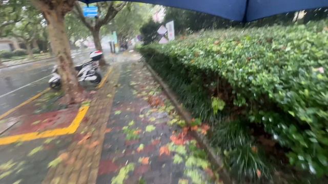 Сильнейший за 75 лет тайфун накрыл Китай тайфун Бебинка обрушился на Китай #тайфун #китай #новости