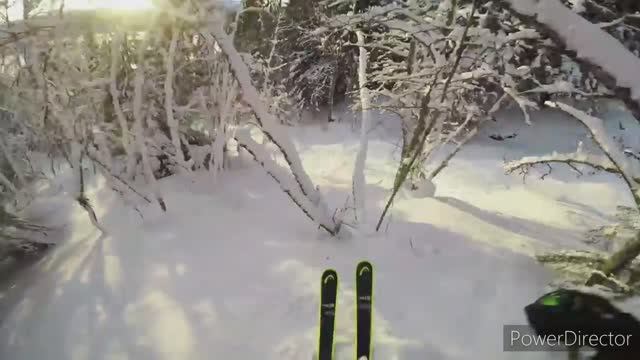 На лыжах по лесу