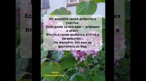 Никогда ни о чем не жалейте. 
Автор Андрей Дементьев.