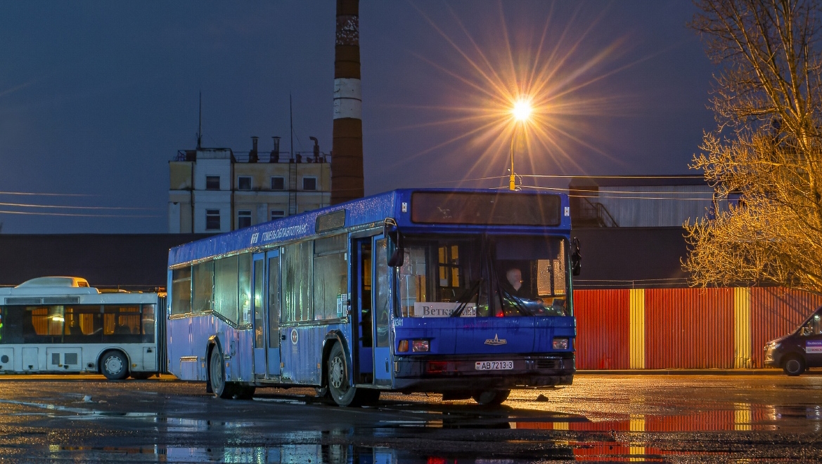 Автобус Гомеля МАЗ 103.С62 АВ 7212-3 Маршрут 226 АС Ветка - АВ Гомель (АС Ветка - Калинино)