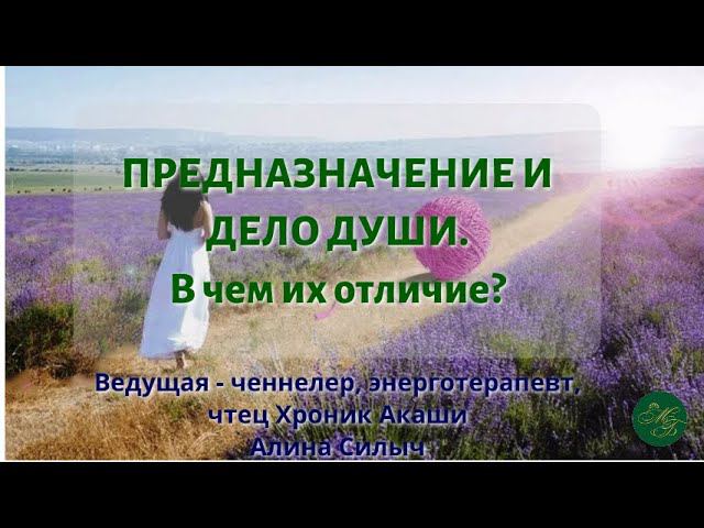 Предназначение и Дело Души. В чем их отличие? Основные моменты, которые нужно знать.
