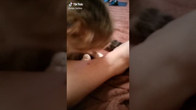 растопырочка Каспер эстет