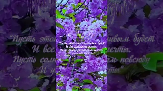 Пусть этот день счастливым будет