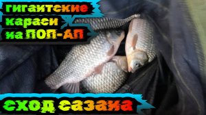 Гигантские караси. Рыбалка в шторм. Бузан Астрахань сентябрь 2024.