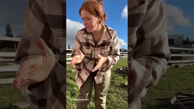 ПОПАХИВАЕТ ОЧЕРЕДНЫМ ФЕРМЕРСКИМ ДЕТЕКТИВОМ ?? Так кто потерял?