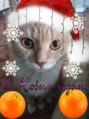 прохожу бабушку гренни