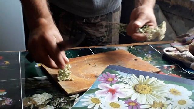 Тысячелистник рецепты приготовление отвара.