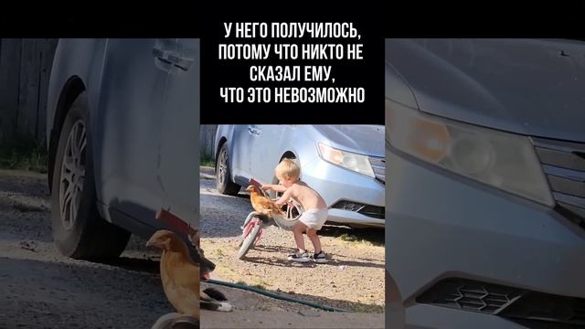 Все Ограничения Только В Голове - Чистилище Рината Зайнуллина
