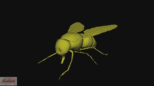 Мухогрупповуха (Flygangbang)