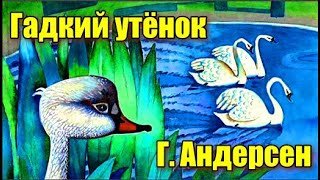 Гадкий утёнок Г. Андерсен.