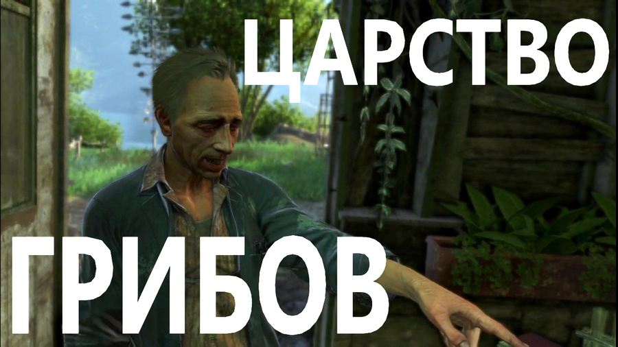 Far Cry 3 #3  Царство грибов