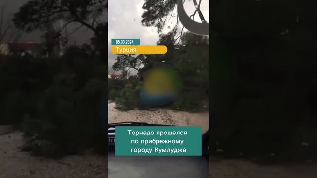 Турция в шоке!