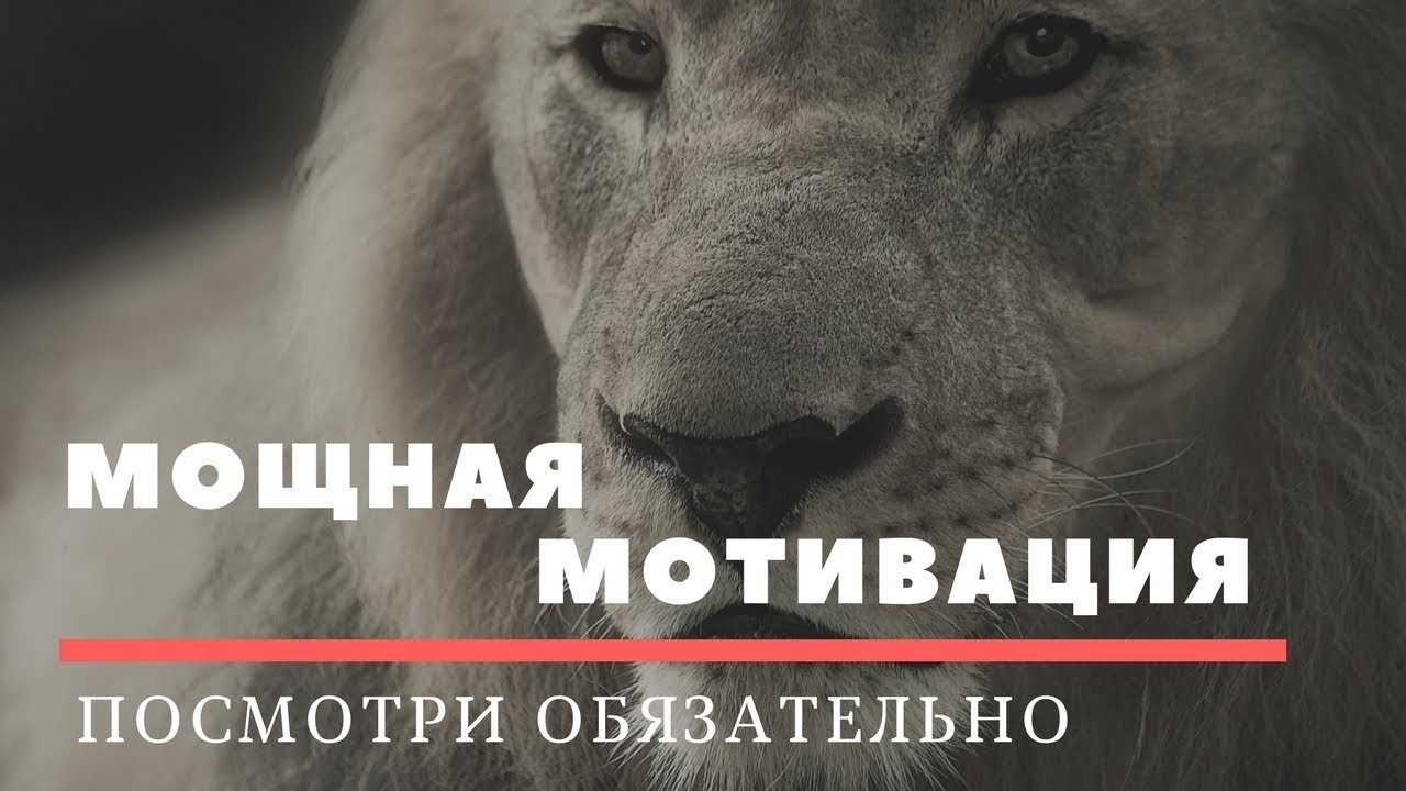 Это видео изменит навсегда твою жизнь