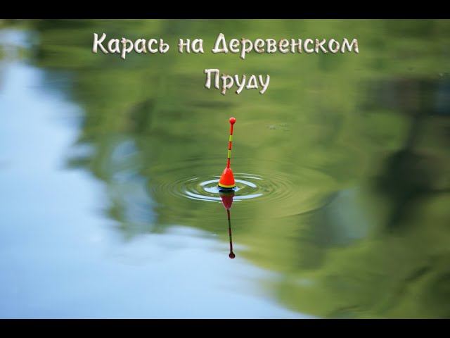 Куча Карася На Деревенском Пруду!!!