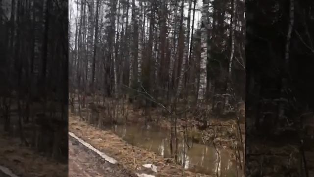 Весна