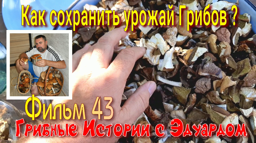 Как Сохранить Урожай ГРИБОВ? Грибные Истории с Эдуардом. 43 Серия.