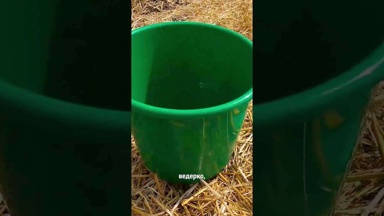 Инструменты для отбора почв #shorts #Акрон