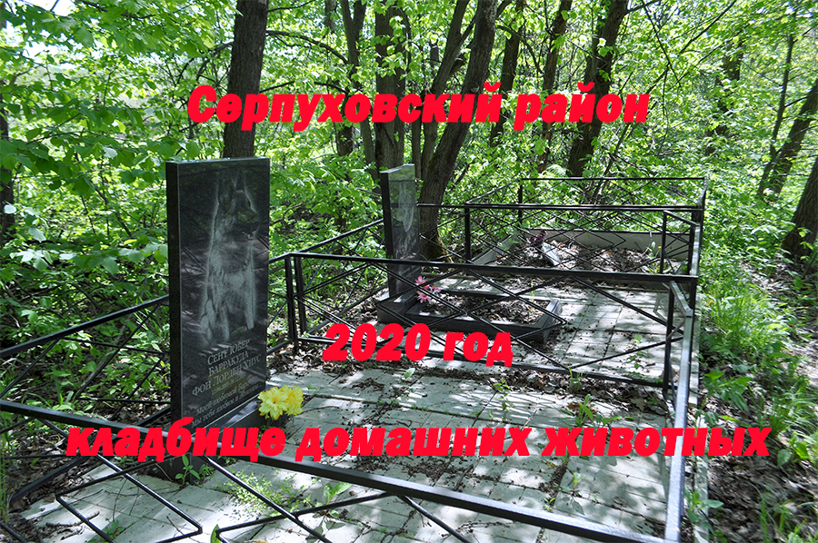 Серпуховский район . 2020 год . Кладбище домашних животных .