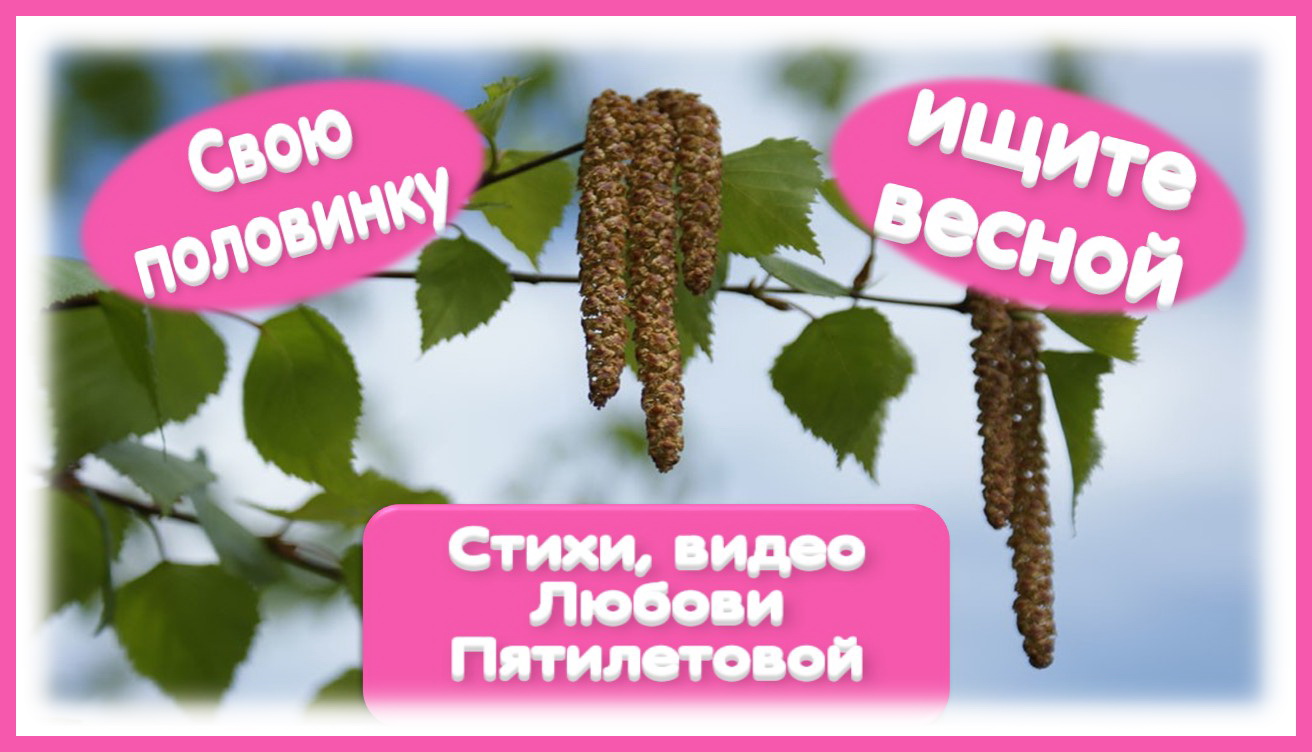 Свою половинку ищите Стихи Л.Пятилетовой.mp4