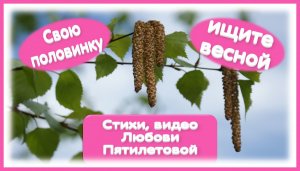 Свою половинку ищите Стихи Л.Пятилетовой.mp4