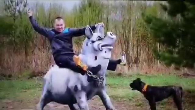 с днём рождения