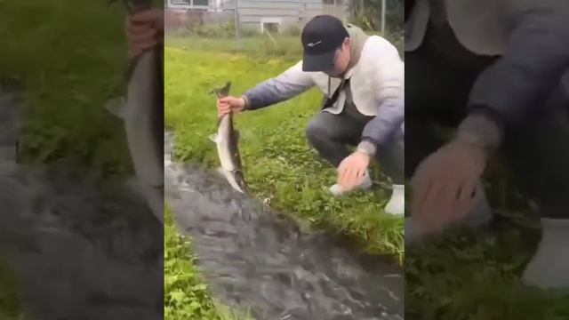 😂удевлён. Самая крутая  🎣🍃рыбалка🐟🐬🐋🐠🐡🐙🦀🐳. И что это за средство такое кто знает?