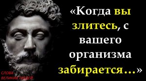 Как не паниковать и сохранять спокойствие в кризис. Уроки и цитаты стоицизма