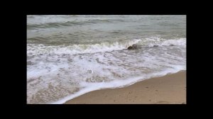 Азовское море в мае 2024