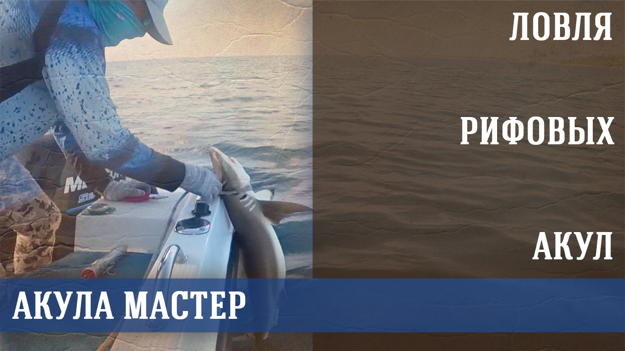 ⚓ Морпех | Рифовые акулы жадно атакуют приманки