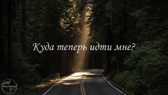 Куда теперь идти мне |Михаил Шумейко