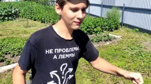 Шашлыки из шеи в своем доме