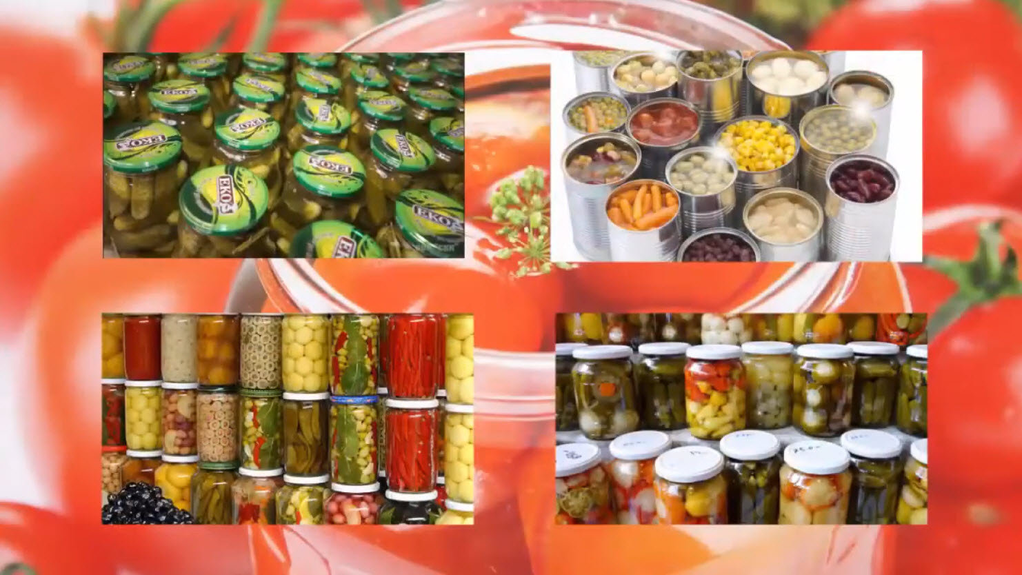 Линии переработки овощей и фруктов_Fruit and vegetable processing lines.mp4