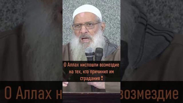 О Аллах избавь от мук и страданий народ Палестины! | Шейх Раслян