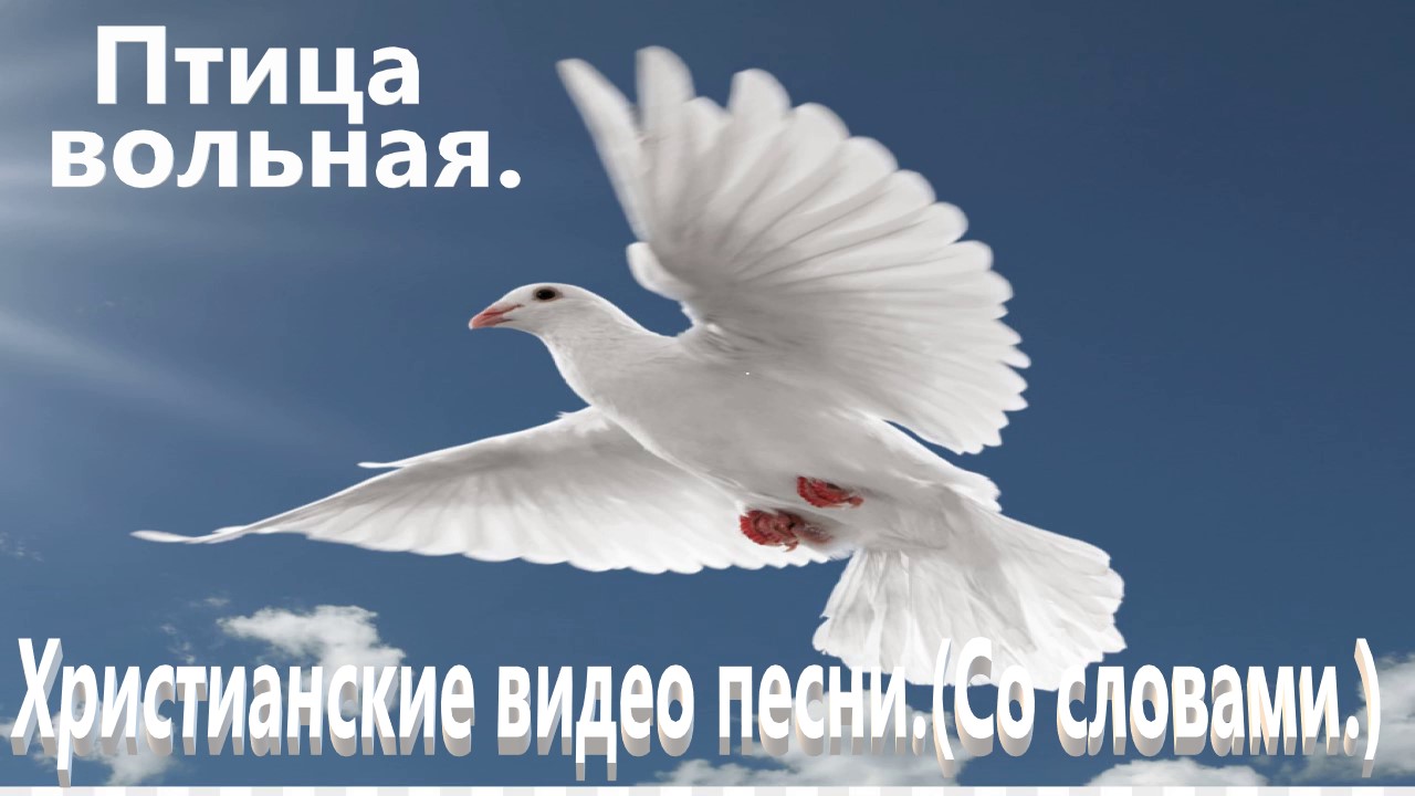 Птица вольная.(Руди Шнайдер.)Христианские песни.