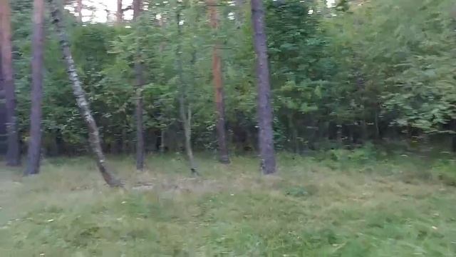 ЗАДОБРИЛИ ДУХОВ ЛЕСА. ВЕДЬМИНА ИЗБА.