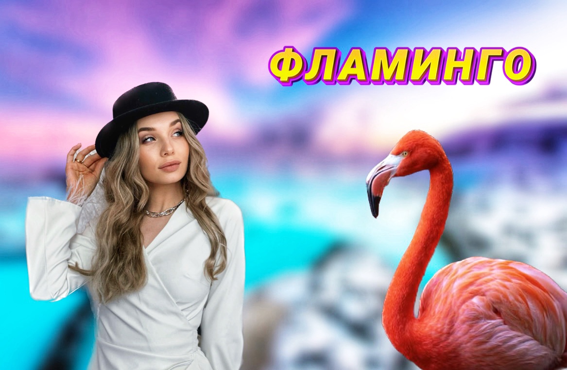 Животный мир. Фламинго.