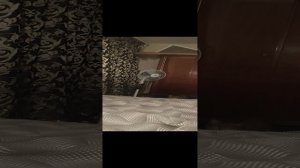 VID_20230620_214506.mp4