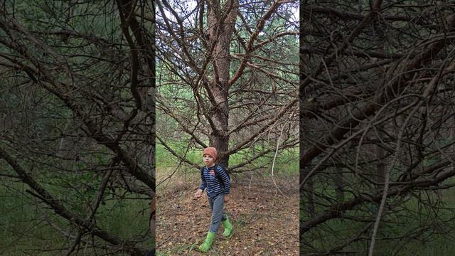 Второй день в лесу