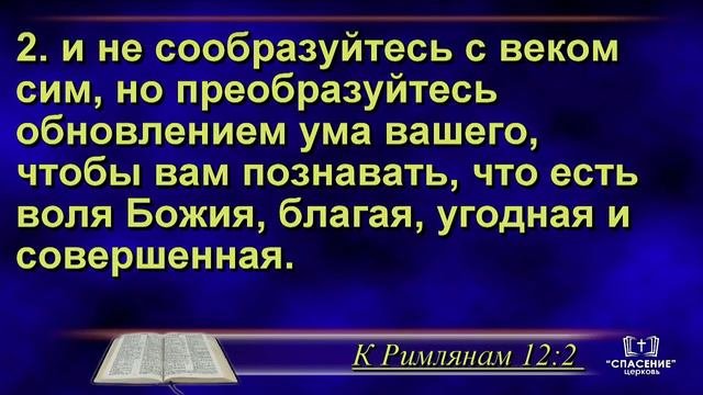 18 августа 2024 (утро) / Воскресное богослужение / Церковь Спасение