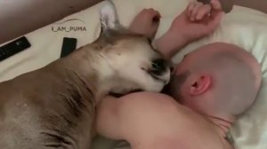 Я сплю, ты понимаешь