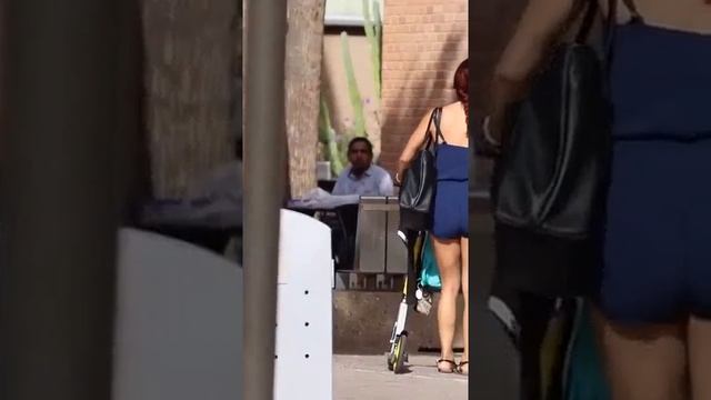 Juan's library quest leads to hilarious chaos ?
