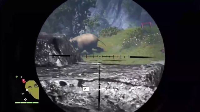 слон и носорог врагам не пожелаешь