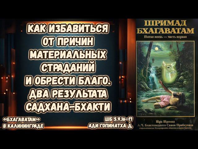 Как избавиться от причин материальных страданий и обрести благо. Ади Гопинатха д. ШБ.5.9.16–17