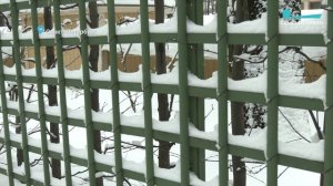 Дикие новости с Павлом Глазковым // Выпуск #37