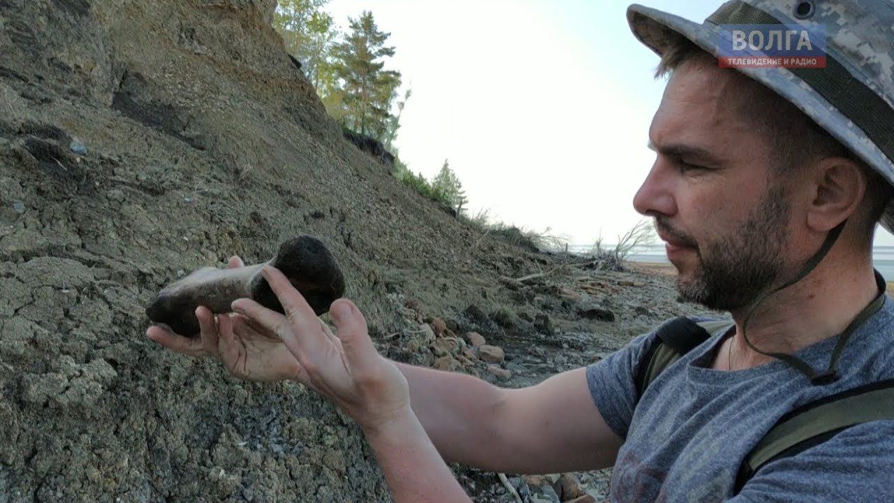 Ульяновский журналист нашел древнего бизона_2019