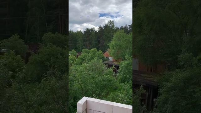СПАСЁМ БЕДНУЮ СОБАКУ….ИНГА ХОСРОЕВА . ВЕДЬМИНА ИЗБА ?